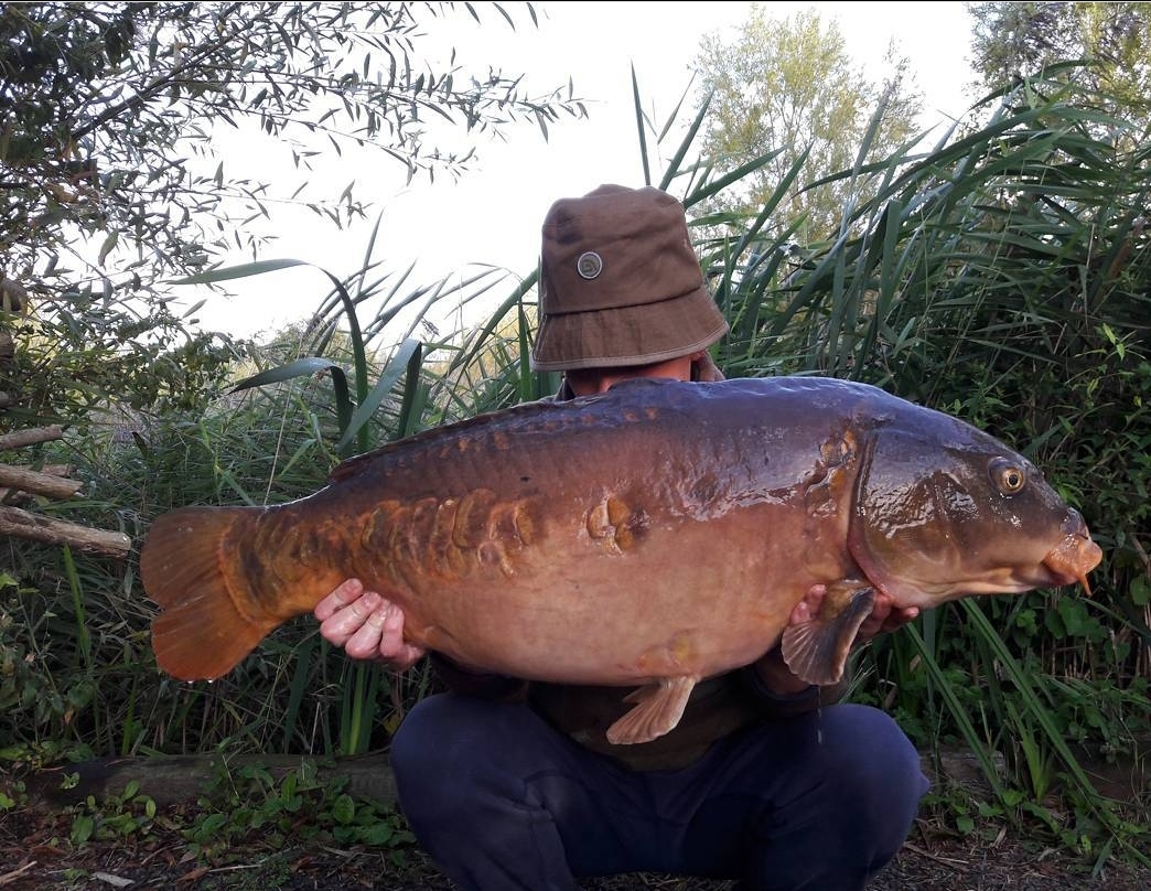 Old crusty banger | Total Carp